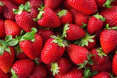 Strawberries – Sweet Missions